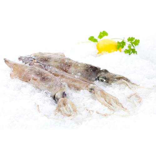 Seafood Supplier, Frozen Food Importer, Frozen Prawns, UK