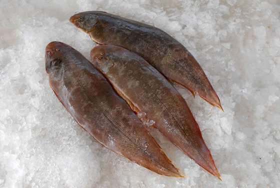 Seafood Supplier, Frozen Food Importer, Frozen Prawns, UK